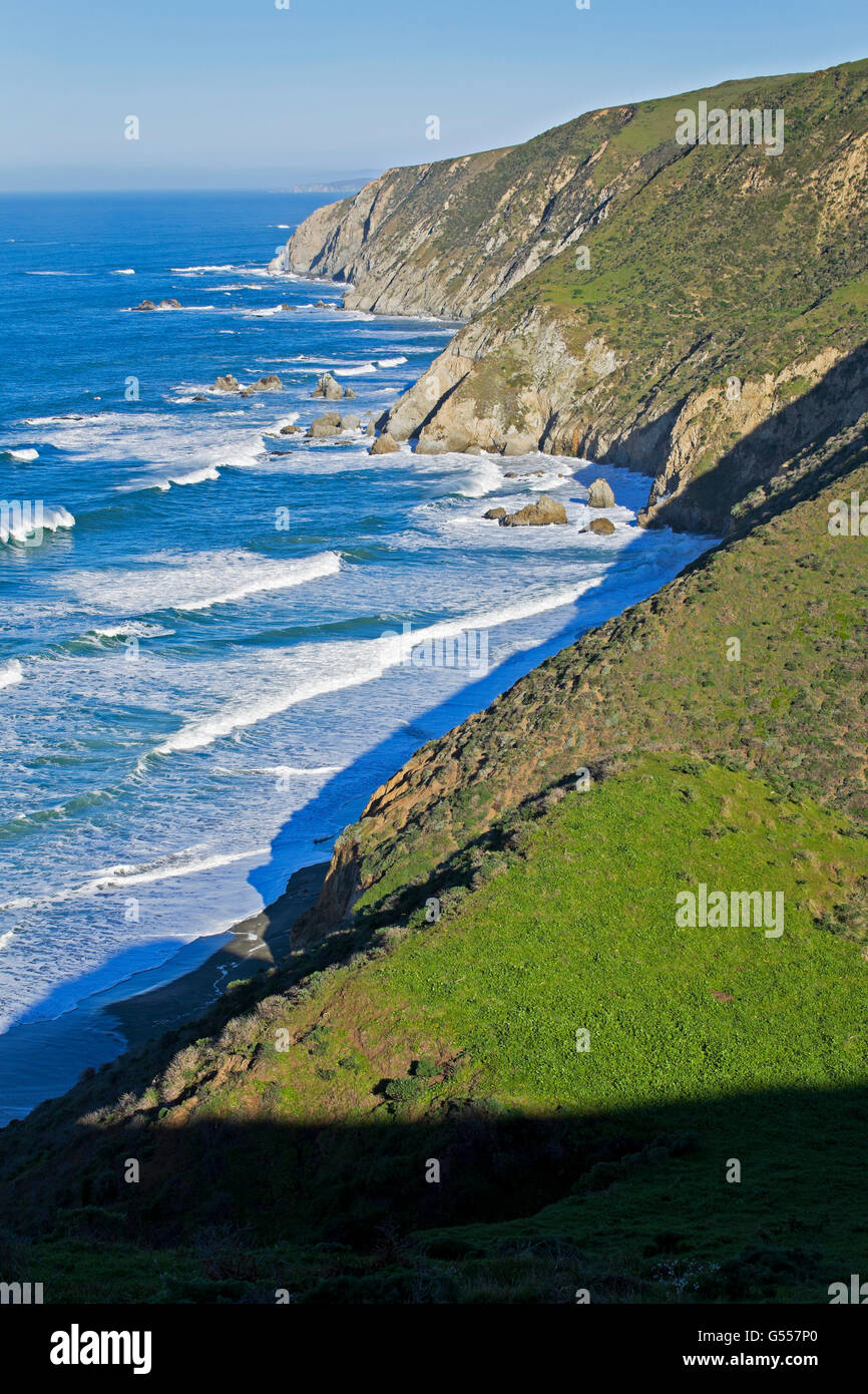 Point Reyes National Seashore, Marin County, California, USA, rugged ...