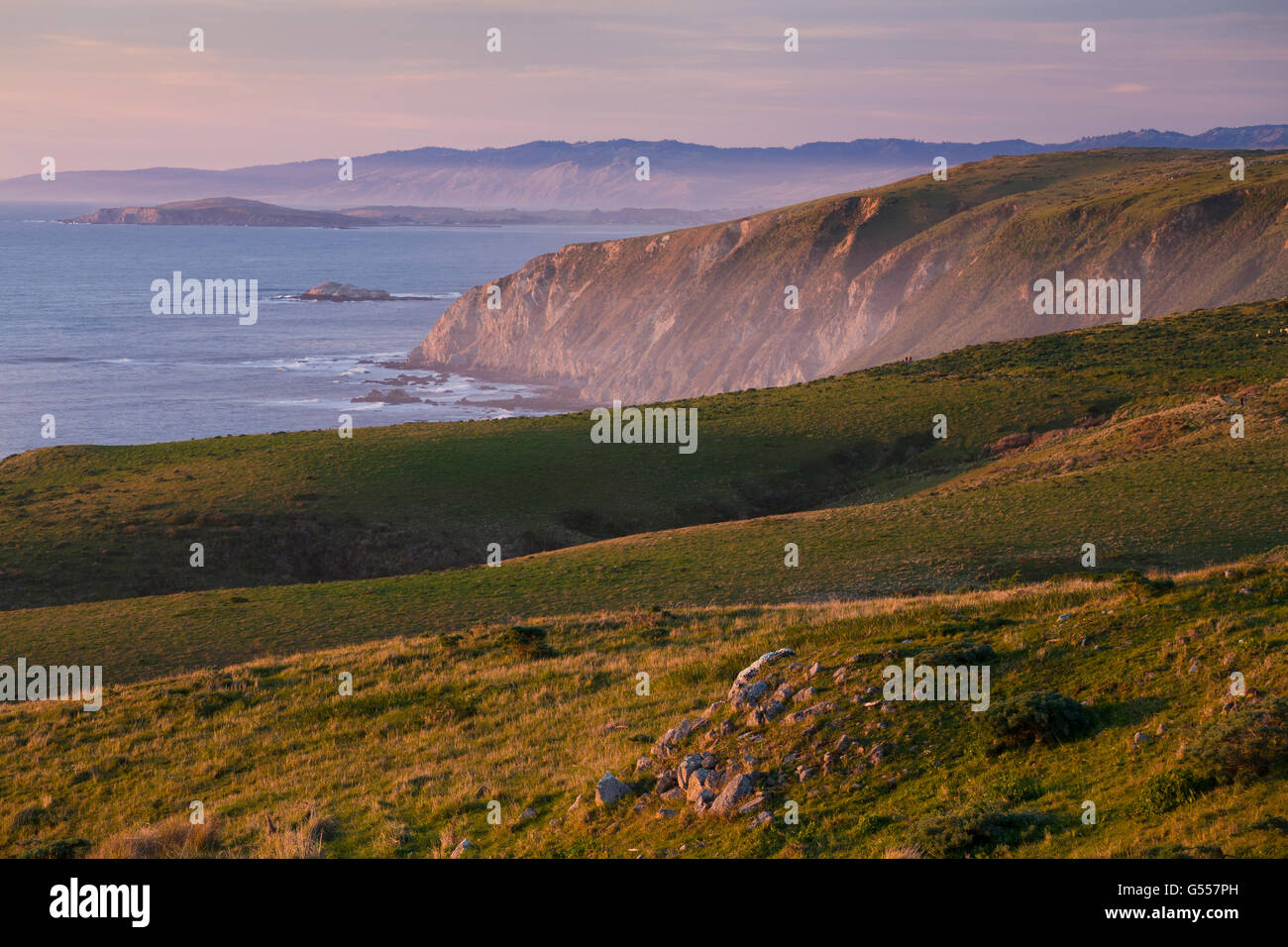 Point Reyes National Seashore, Marin County, California, USA, west side ...