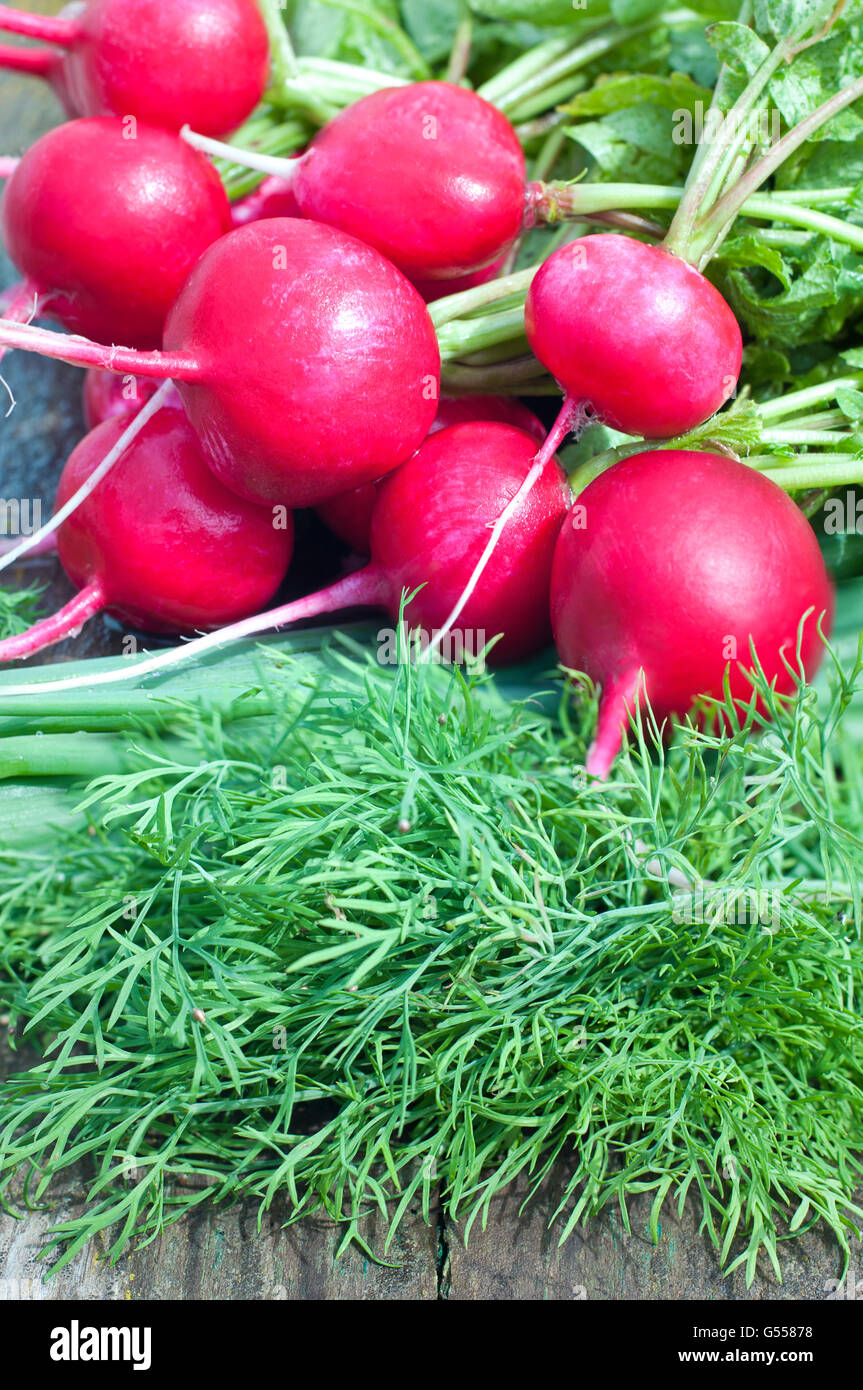 Red radish and dill on a a wooden bench Stock Photo - Alamy