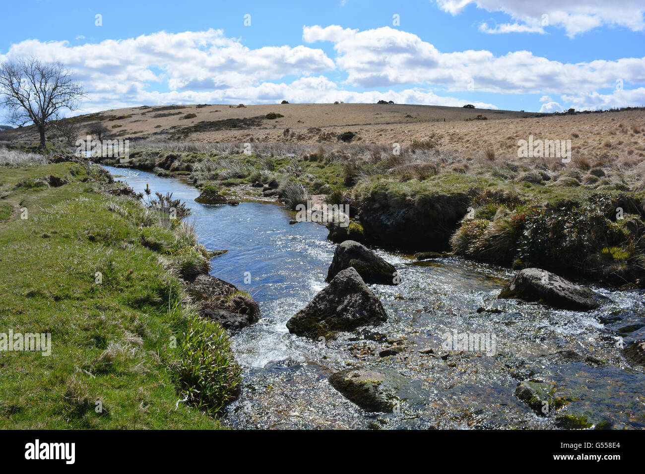 West Dart River, Two Bridges, Dartmoor National Park, Devon. England ...