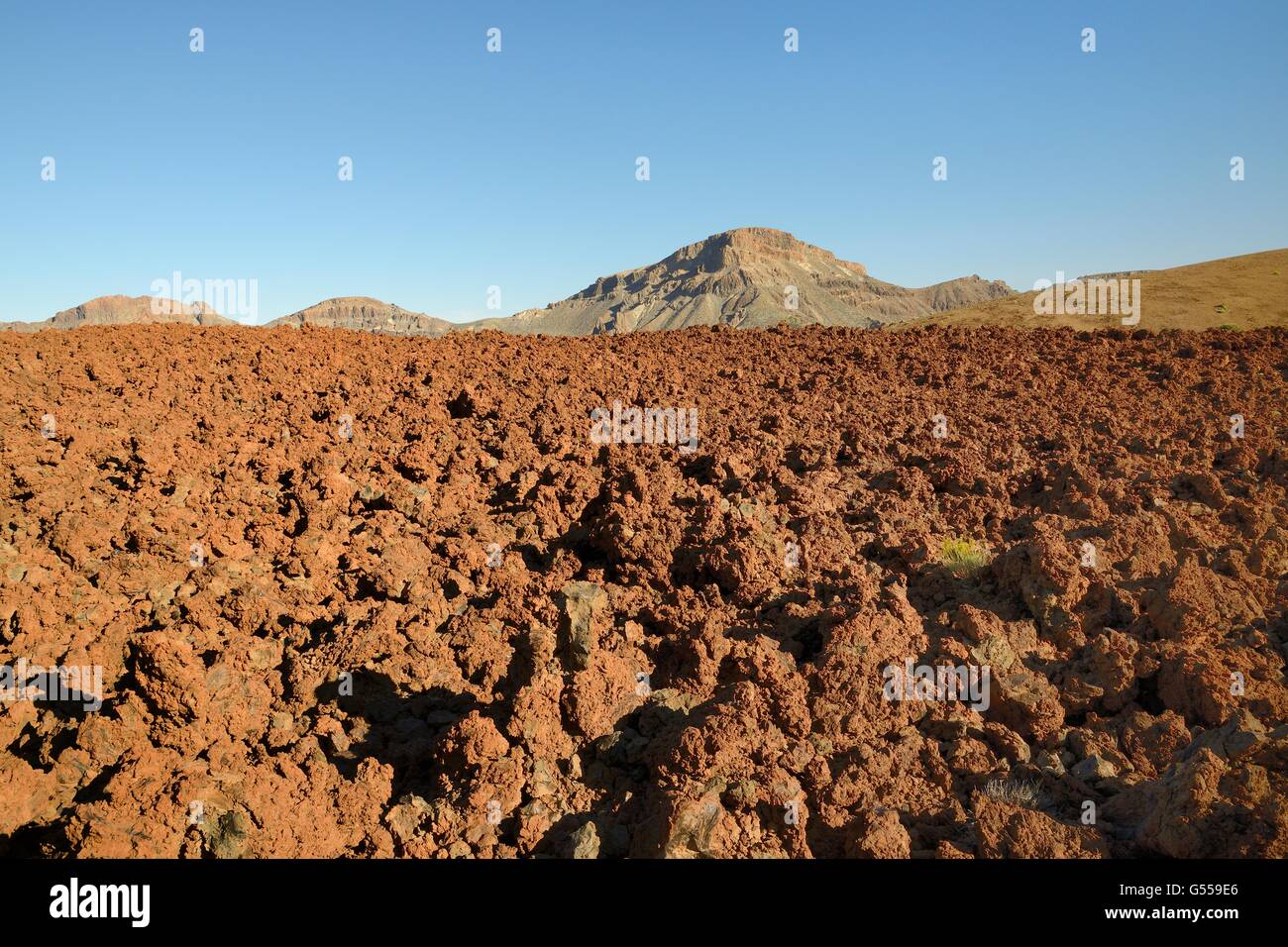 Volcanic lava flows in the spiky, uneven "aa or malpais" form in the ...