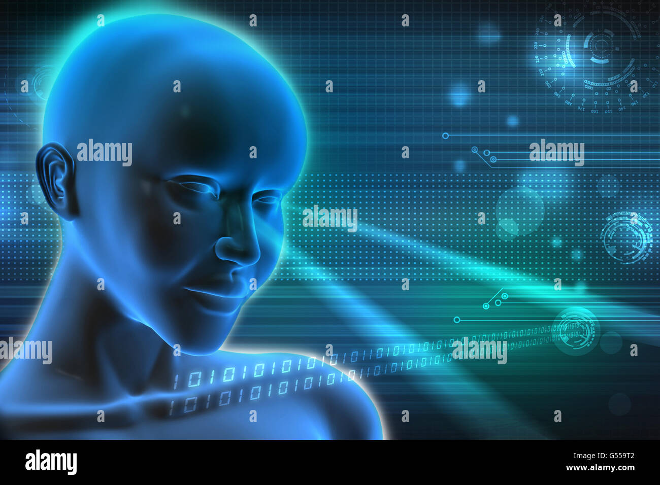 Human body anatomy hi-res stock photography and images - Alamy