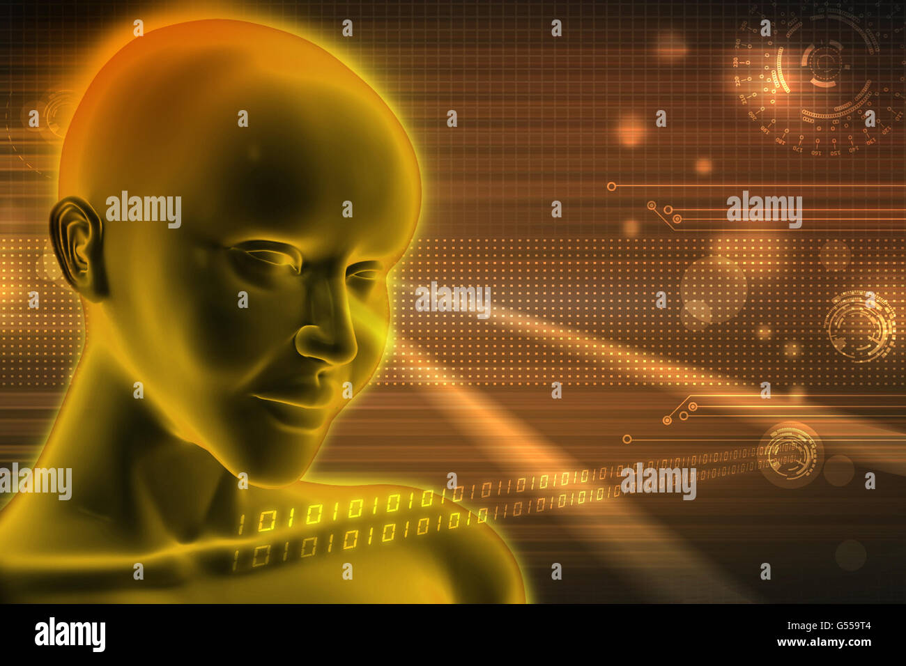 Human body anatomy hi-res stock photography and images - Alamy