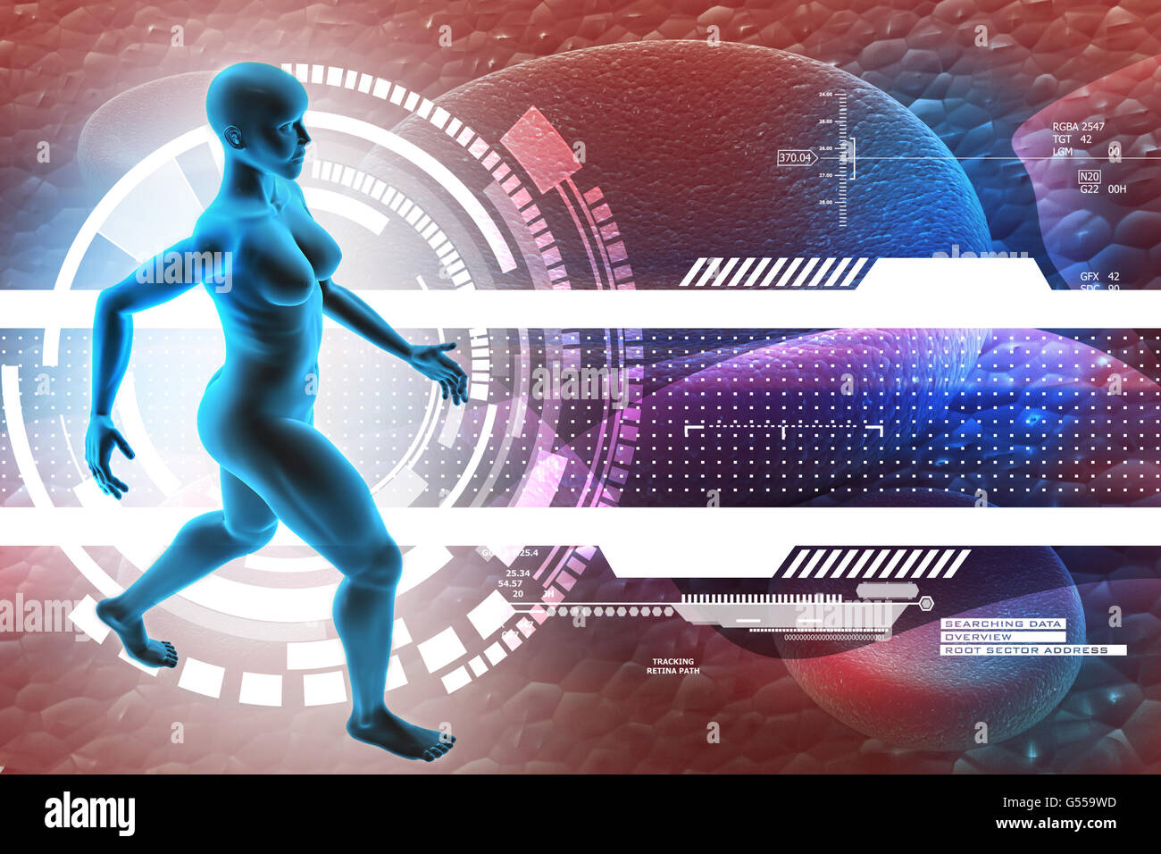 woman female human body Stock Photo - Alamy