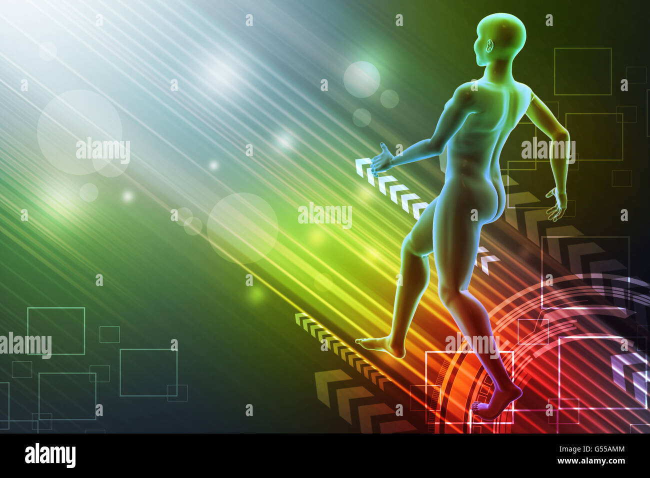 woman female human body Stock Photo - Alamy