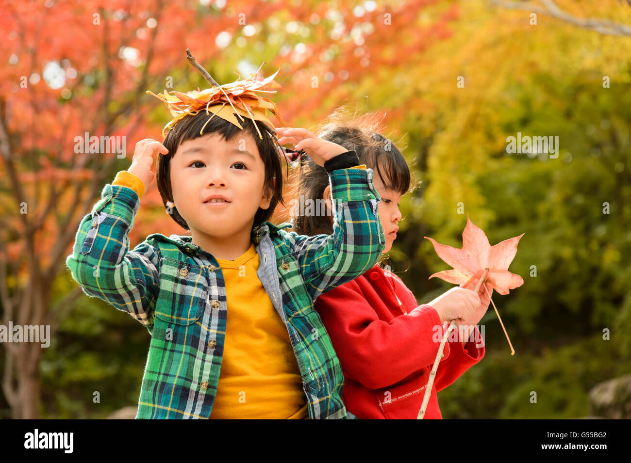 Children playing in the forest sunny hi-res stock photography and ...