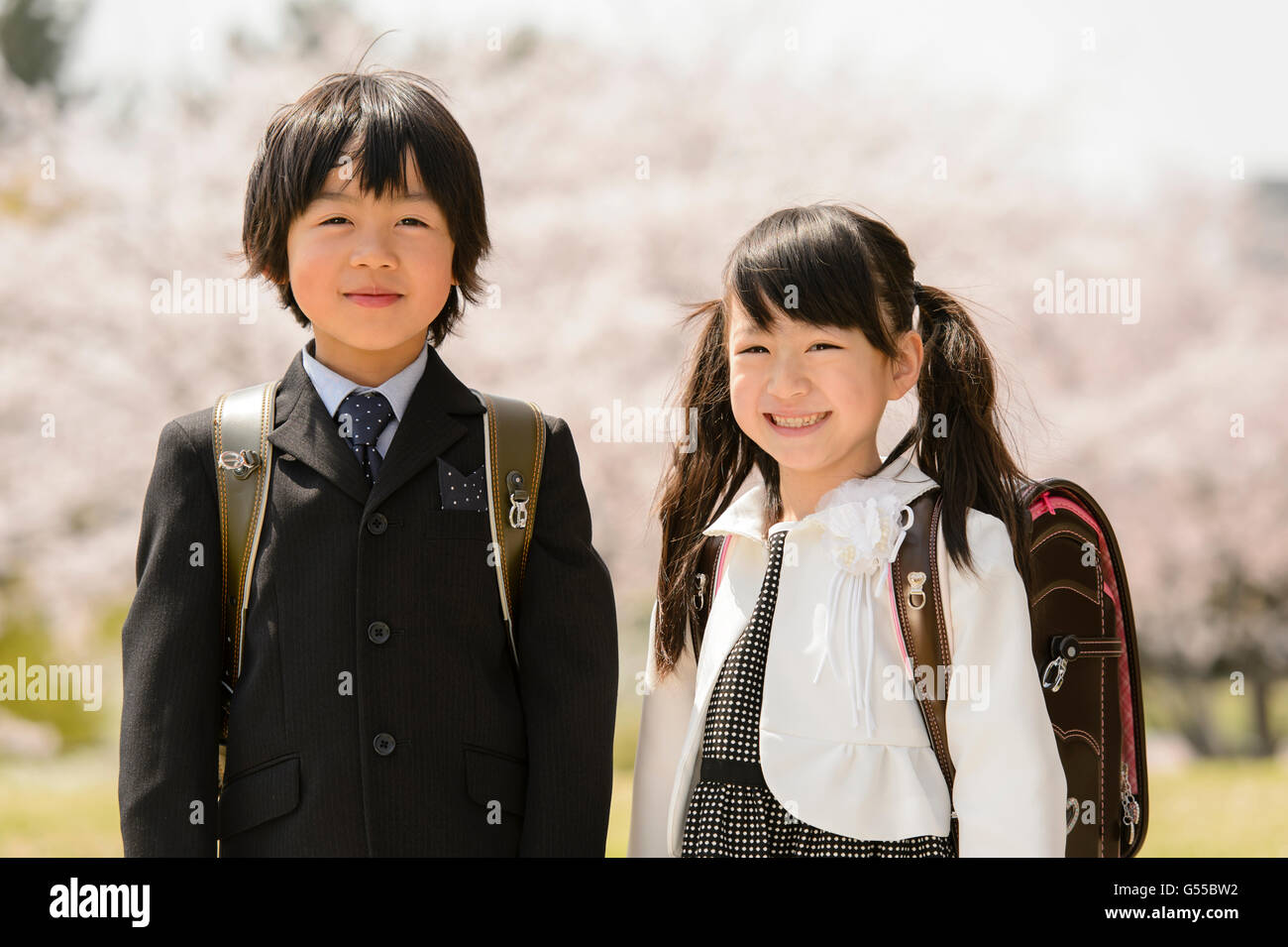 Japanese elementary school students and cherry blossoms Stock Photo - Alamy