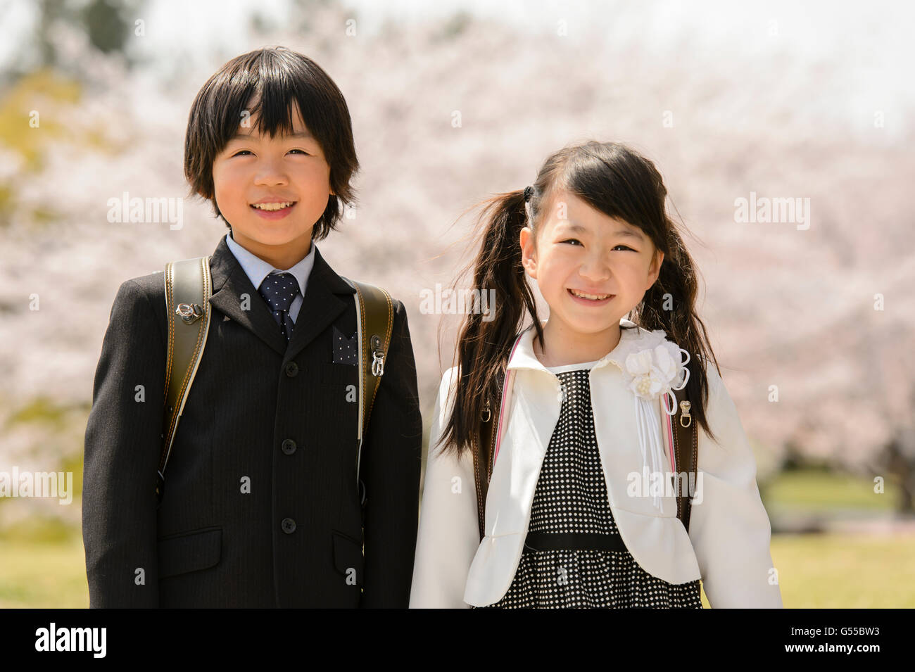 Japanese elementary school students and cherry blossoms Stock Photo - Alamy