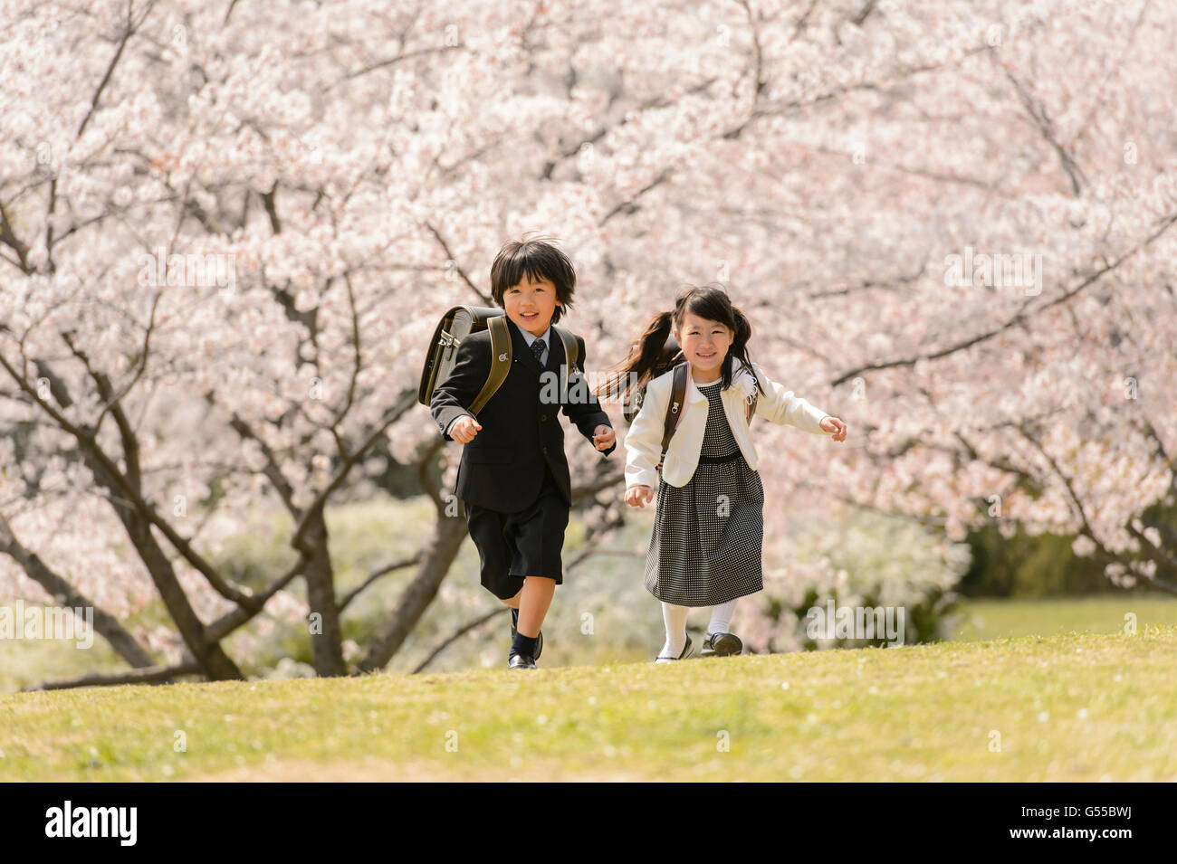 Japanese Elementary School Students High Resolution Stock Photography ...