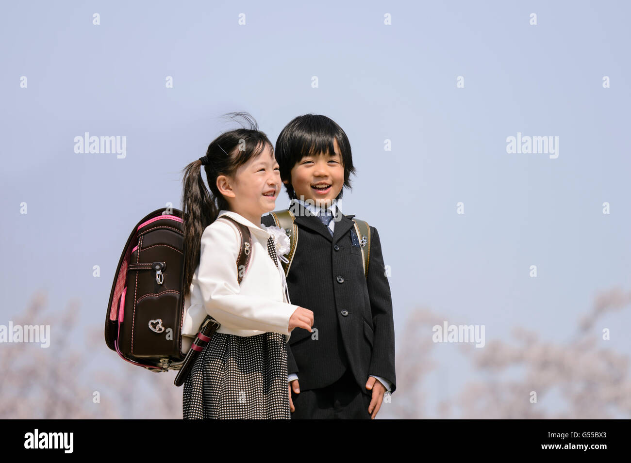 Japanese elementary school students and cherry blossoms Stock Photo - Alamy