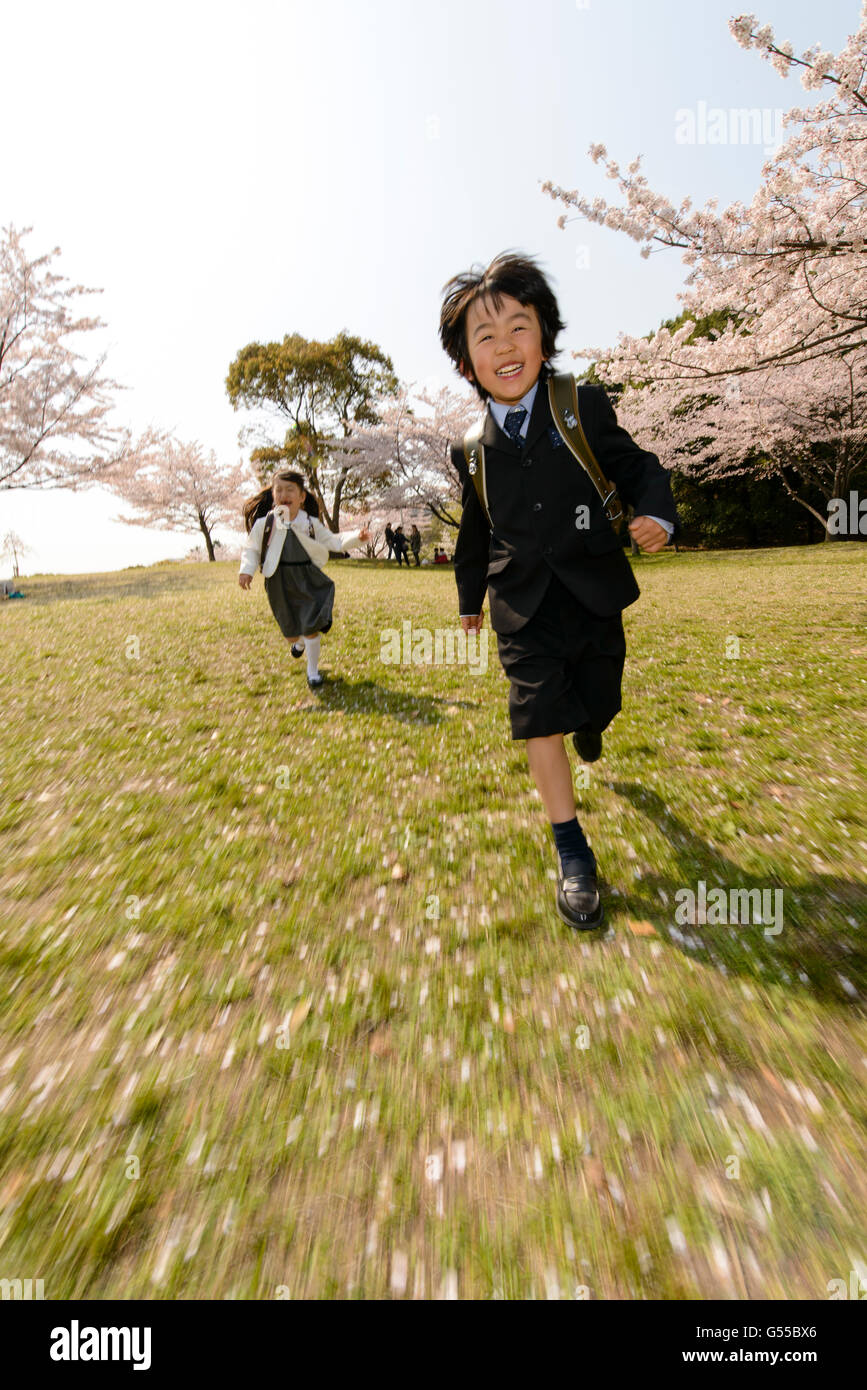 Japanese elementary school students and cherry blossoms Stock Photo - Alamy