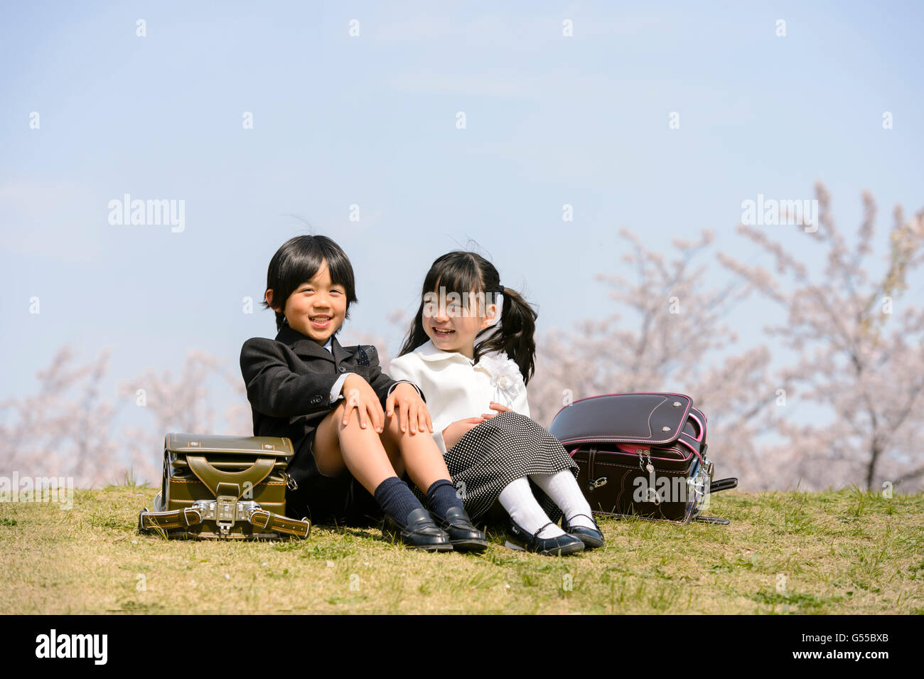 Japanese elementary school students and cherry blossoms Stock Photo - Alamy