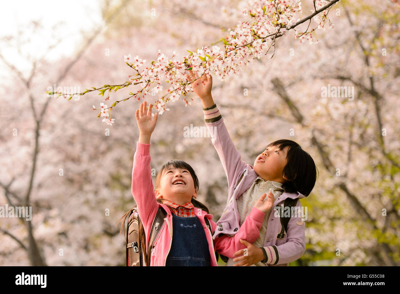 Kids playing in a park Stock Photo - Alamy