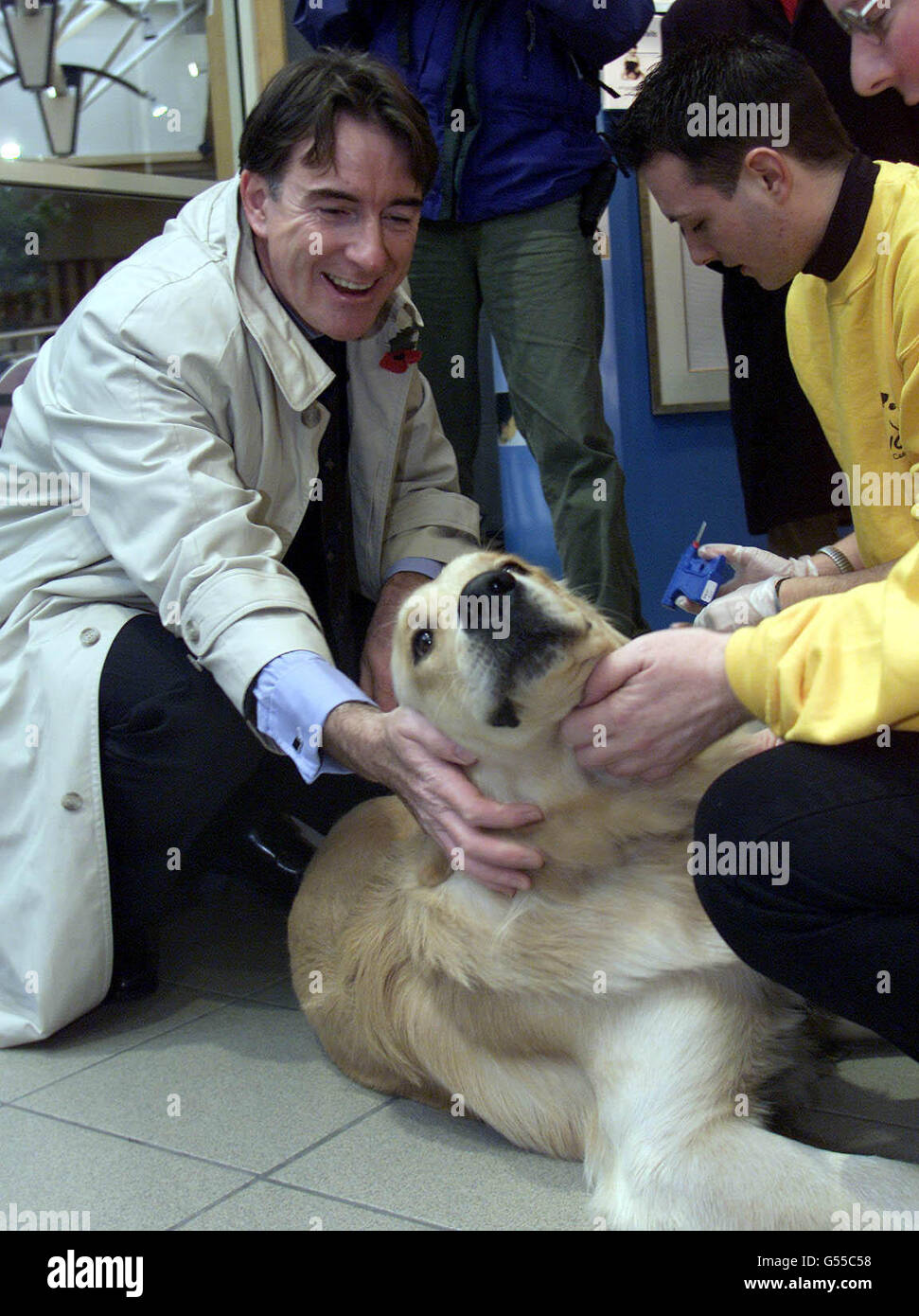 Northern Ireland Secretary Peter Mandelson holds his Labrador Bobby at ...