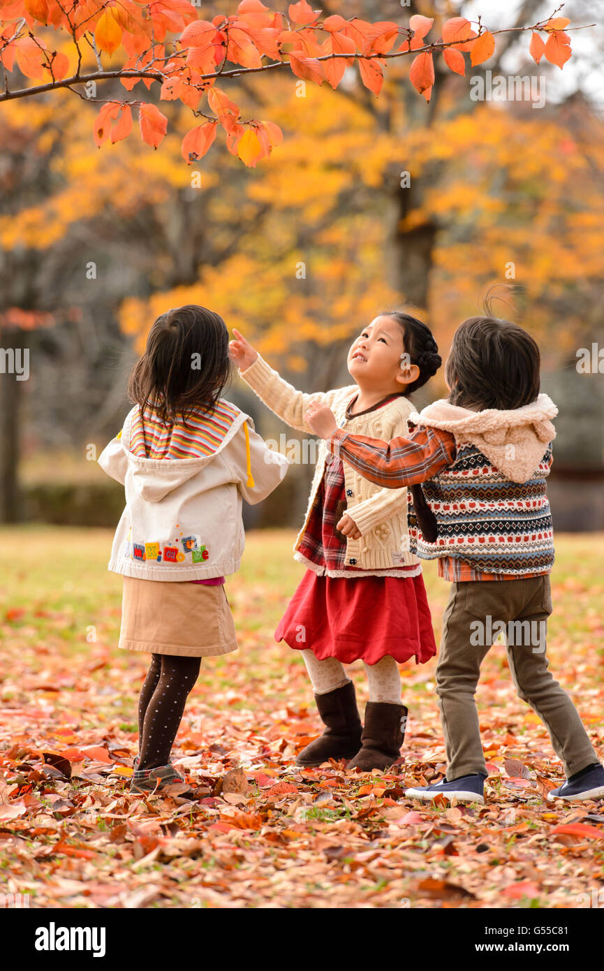 Kids playing in a park Stock Photo - Alamy