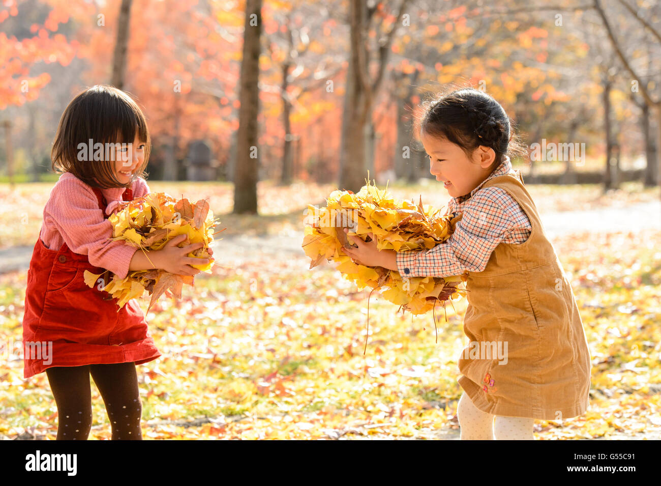 Kids playing in a park Stock Photo - Alamy