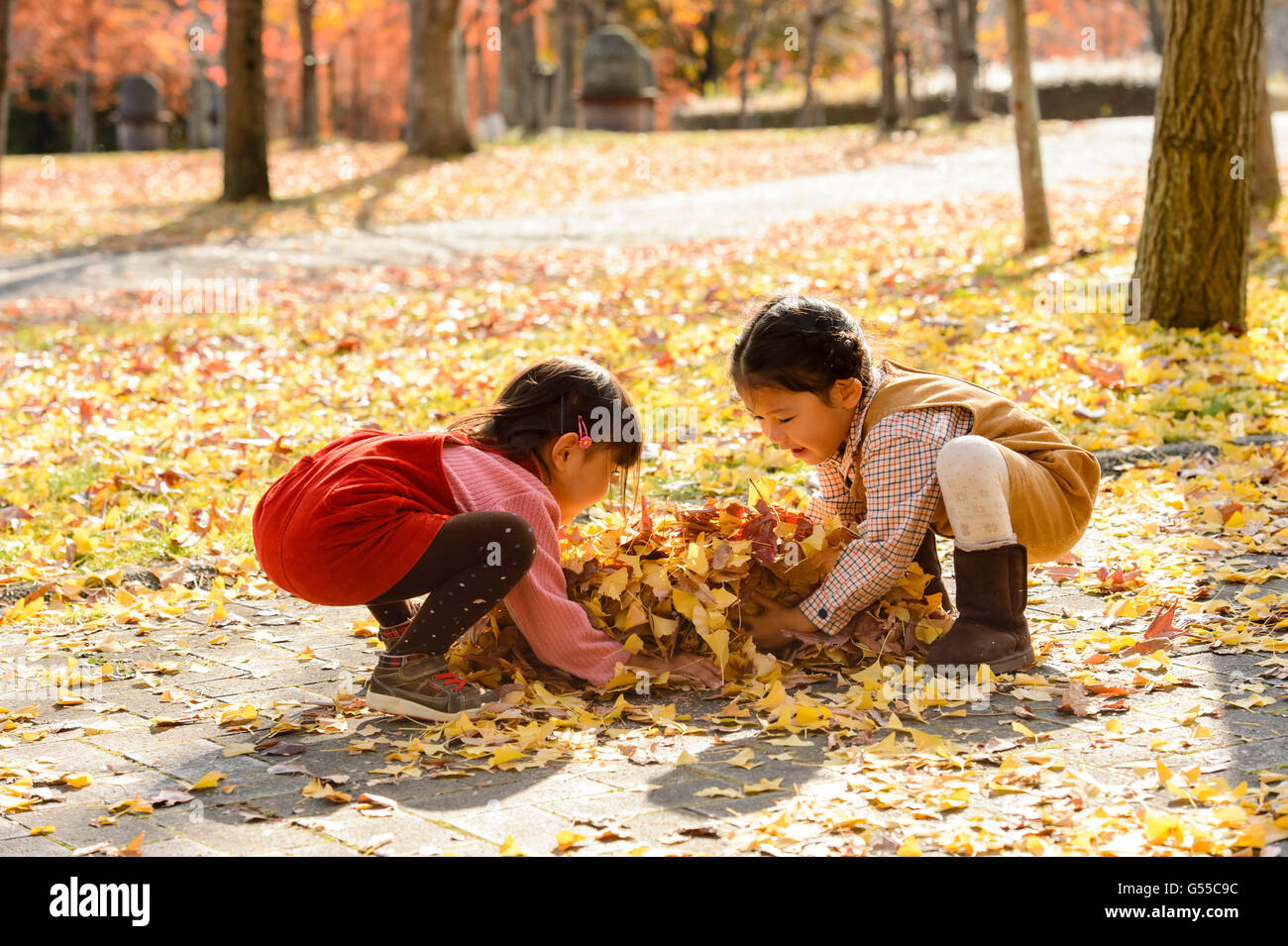 Kids playing in a park Stock Photo - Alamy