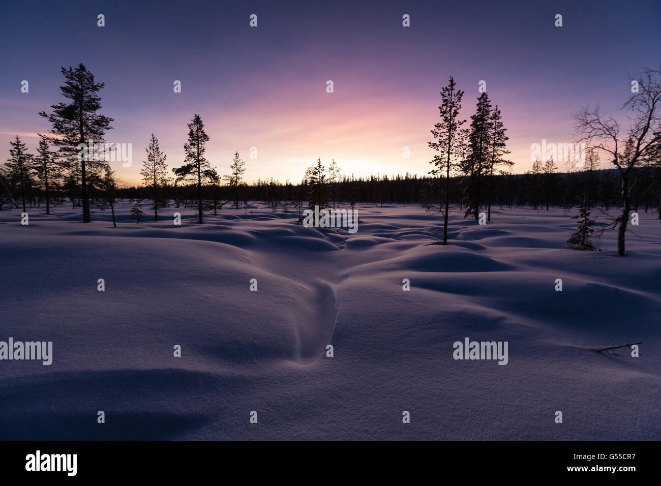 Winter in Urho Kekkonen national park, Sodankylä, Lapland, Finland ...