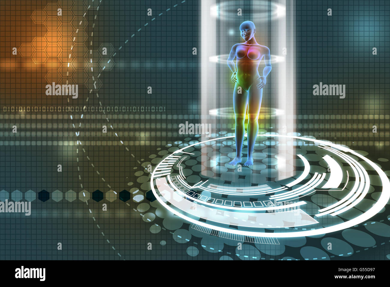 Human body female graphic hi-res stock photography and images - Alamy