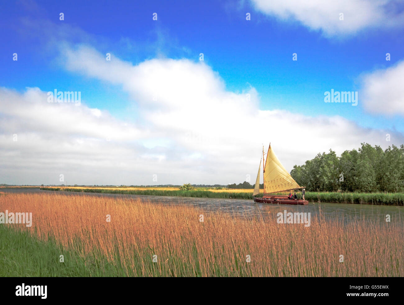 A yacht tacking against the wind on the River Bure on the Norfolk ...