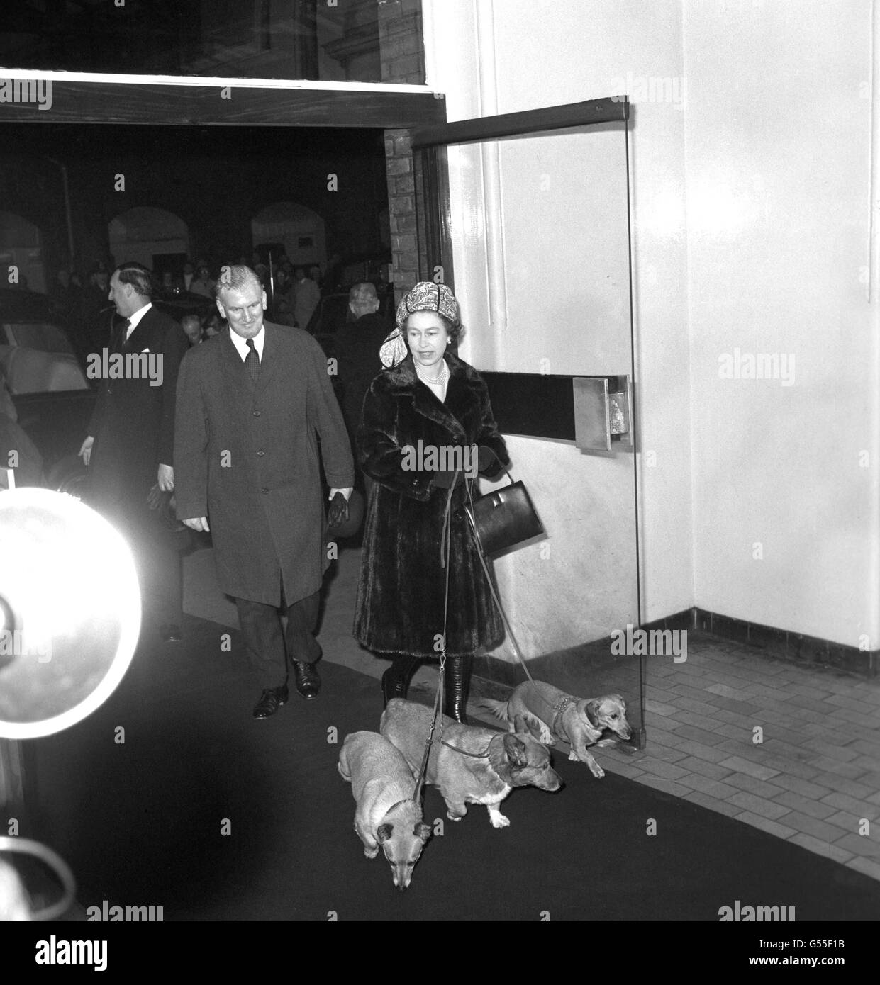 Queen Elizabeth II with her corgis when members of the Royal family ...