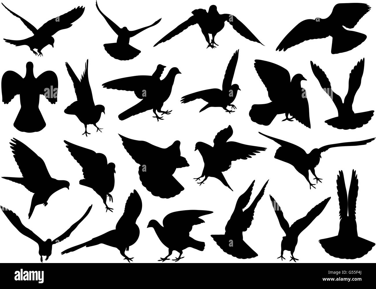 Set of different doves Stock Vector Image & Art - Alamy
