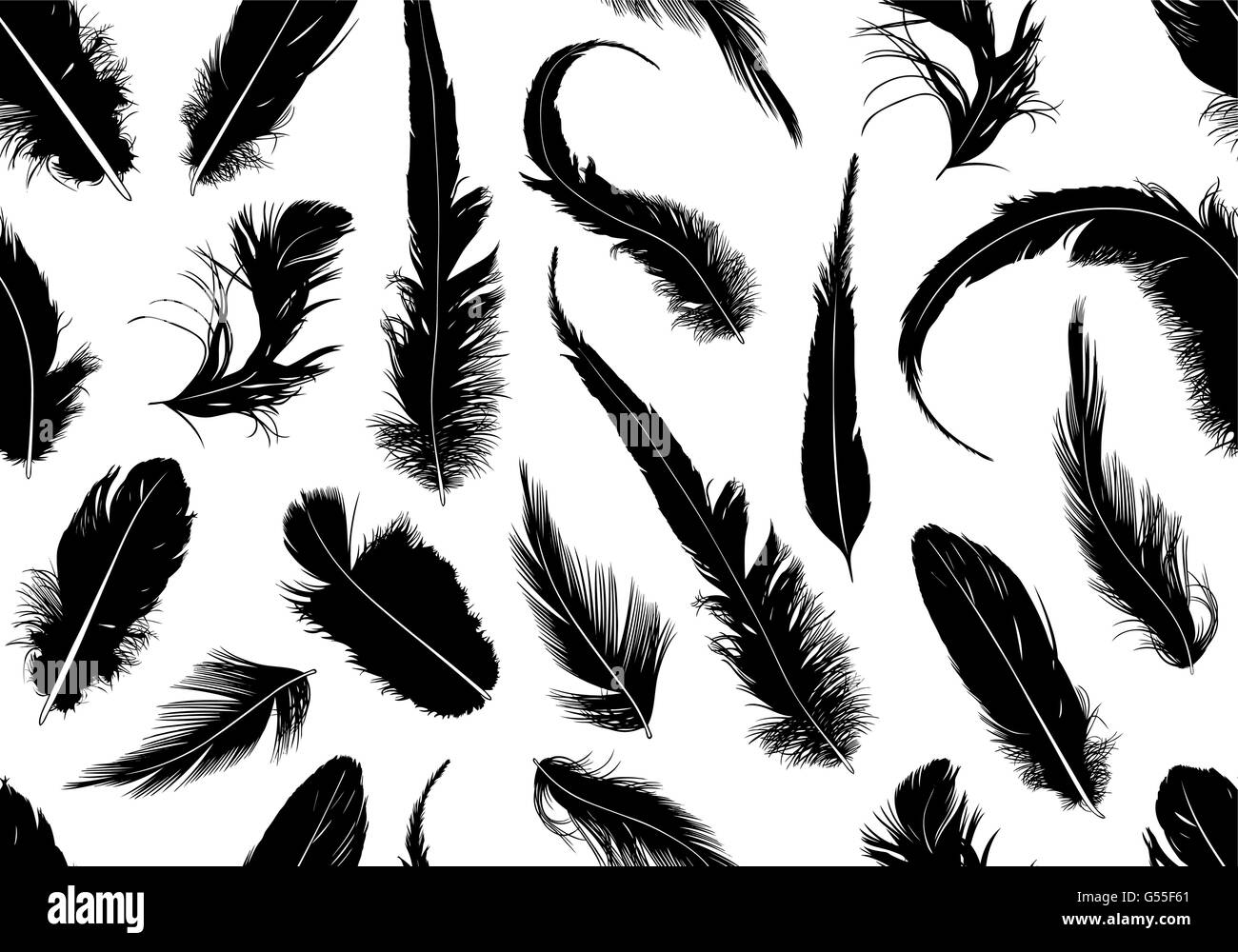 Scattered black and white feathers Stock Vector Images - Alamy
