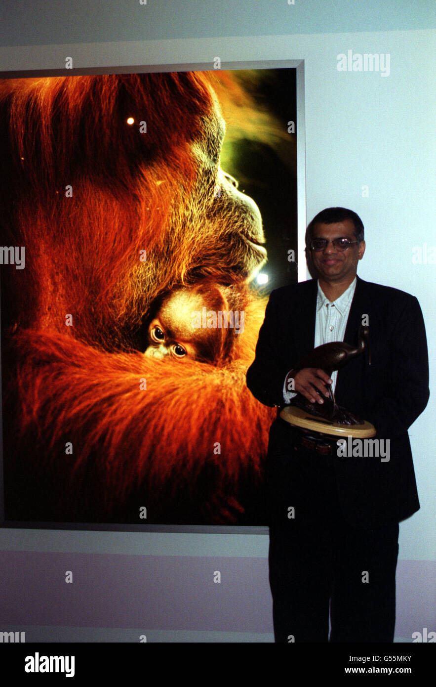 Manoj Shah from Britain, winner of the BG Wildlife Photographer of the ...