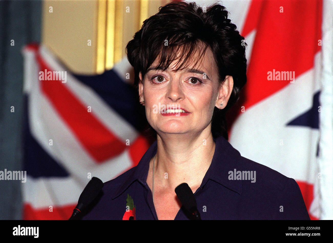 Prime Minister Tony Blair's wife Cherie Booth QC co-hosting the My ...