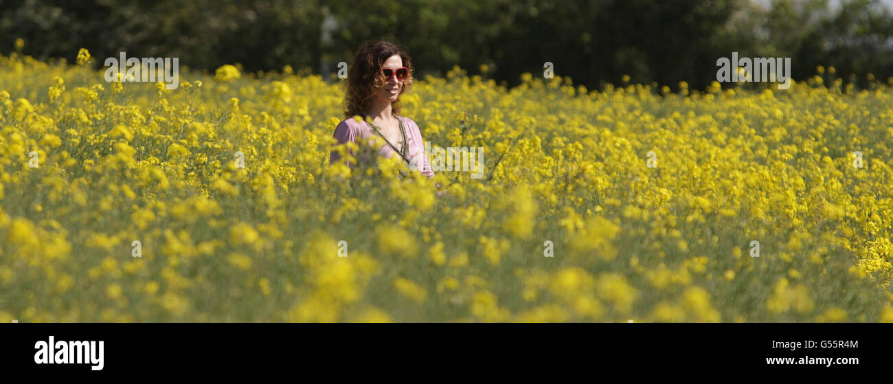 Spring weather - May 24 Stock Photo - Alamy