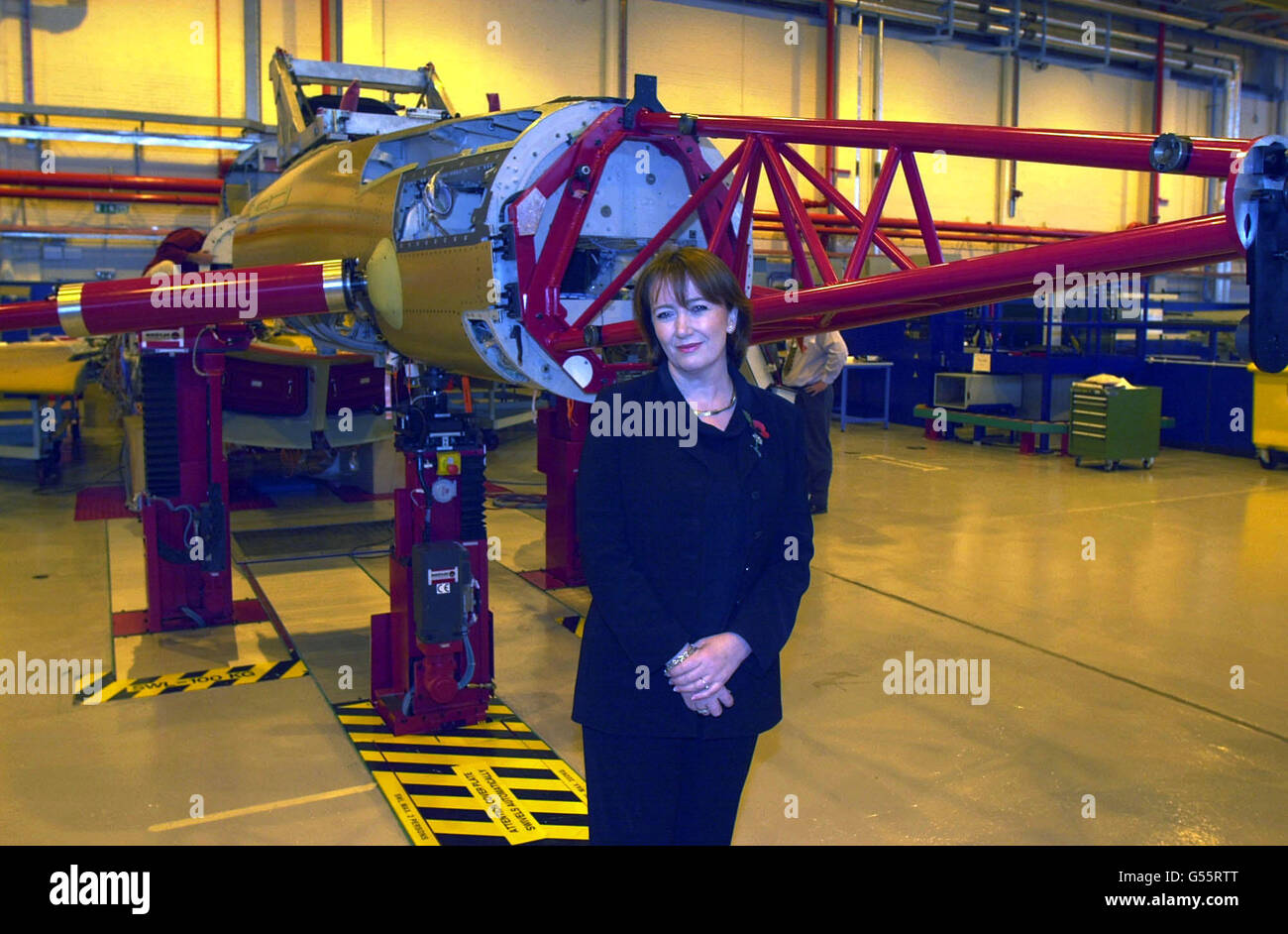 Deputy Defence Minister Baroness Liz Symons during a visit to see the ...