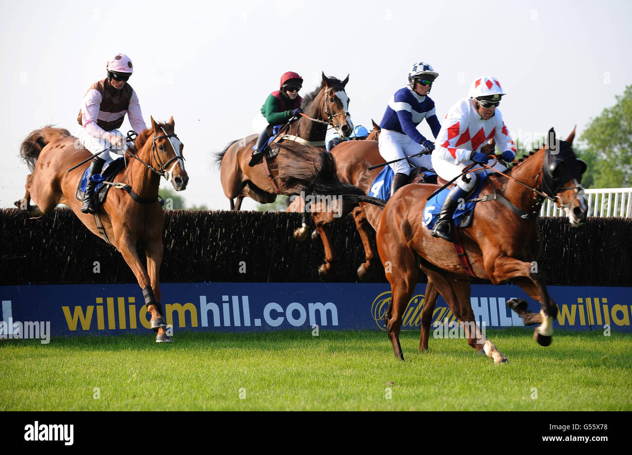 Horse racing ladies evening huntingdon racecourse hi-res stock ...