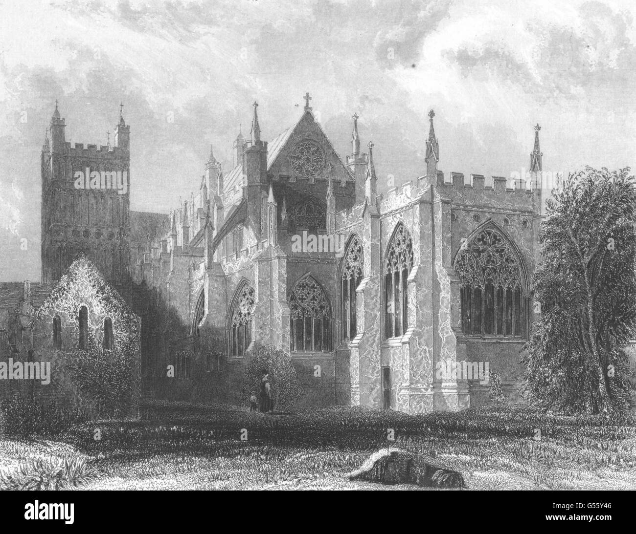 DEVON: Exeter Cathedral, from the Bishops garden, antique print c1842 ...