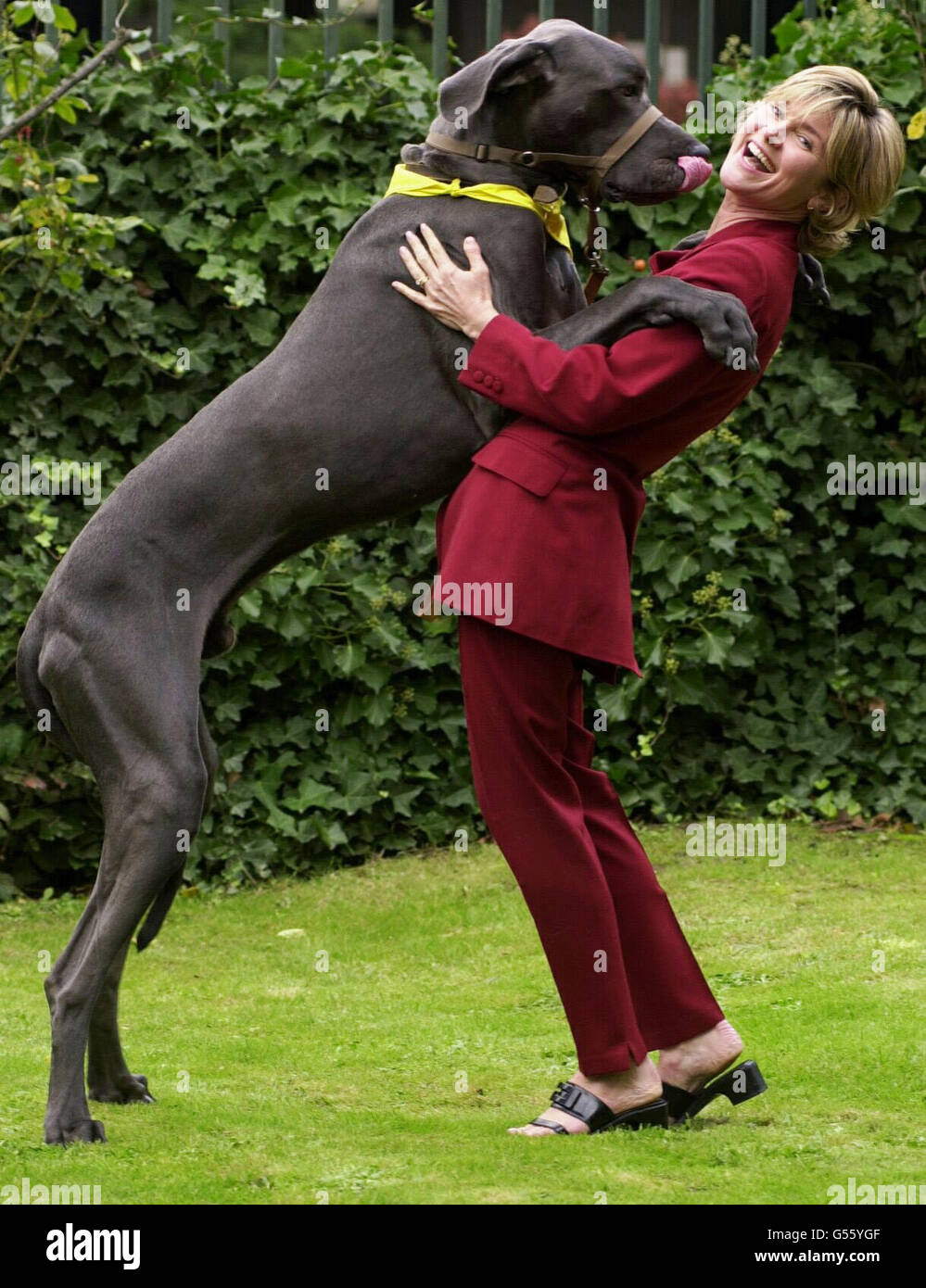 TV presenter Anthea Turner with Logan, a Great Dane from Market ...