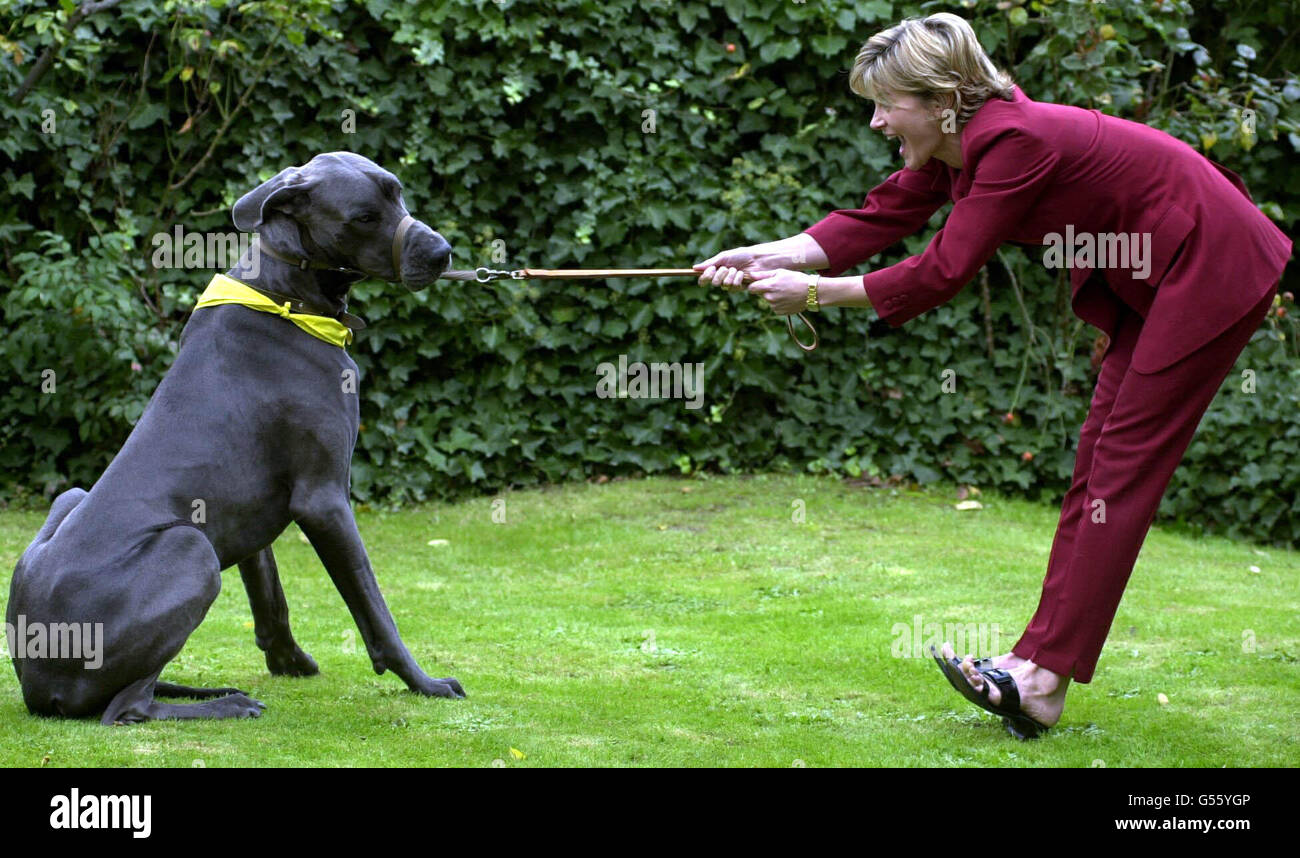 Tv presenter anthea turner with logan hi-res stock photography and ...