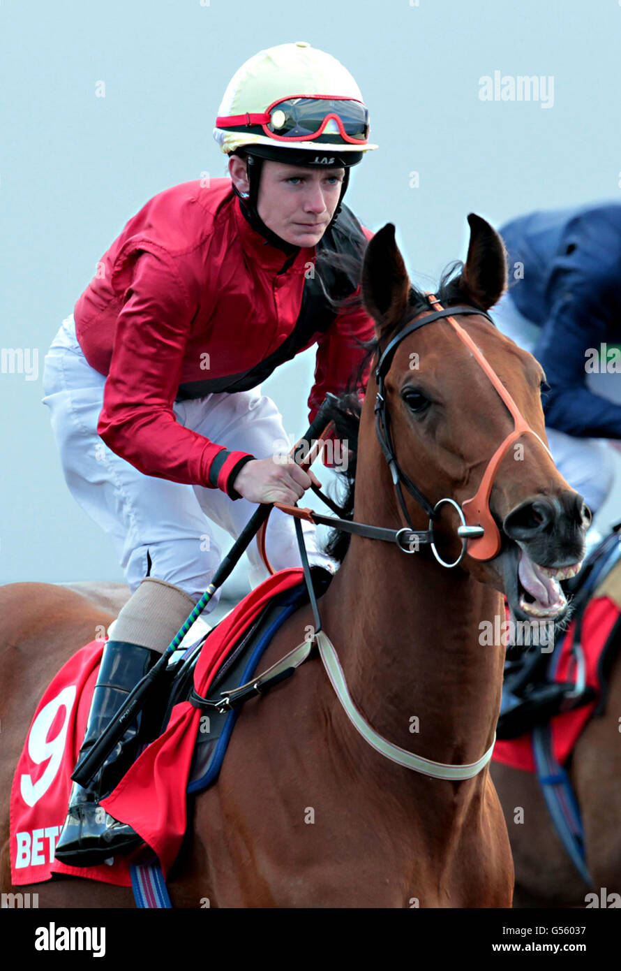 Kieran oneill hi-res stock photography and images - Alamy