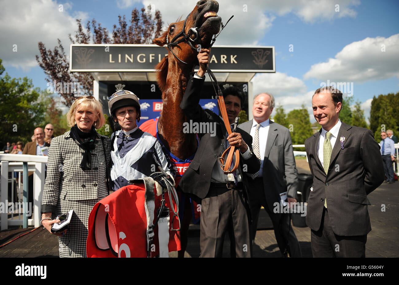 David lanigan trainer hi-res stock photography and images - Alamy