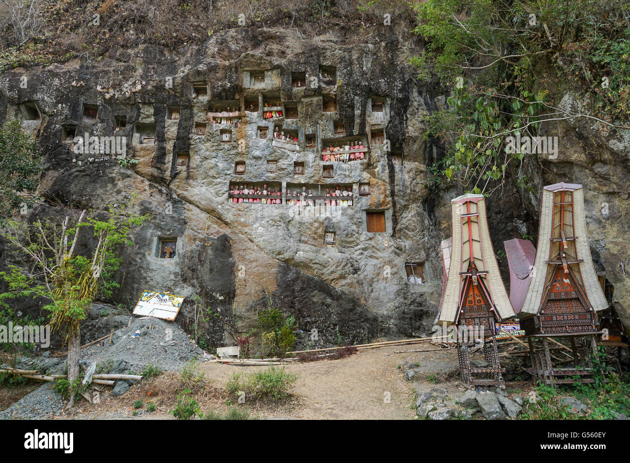Indonesia, Sulawesi Selatan, Tana Toraja, Torajaland, wooden figures ...