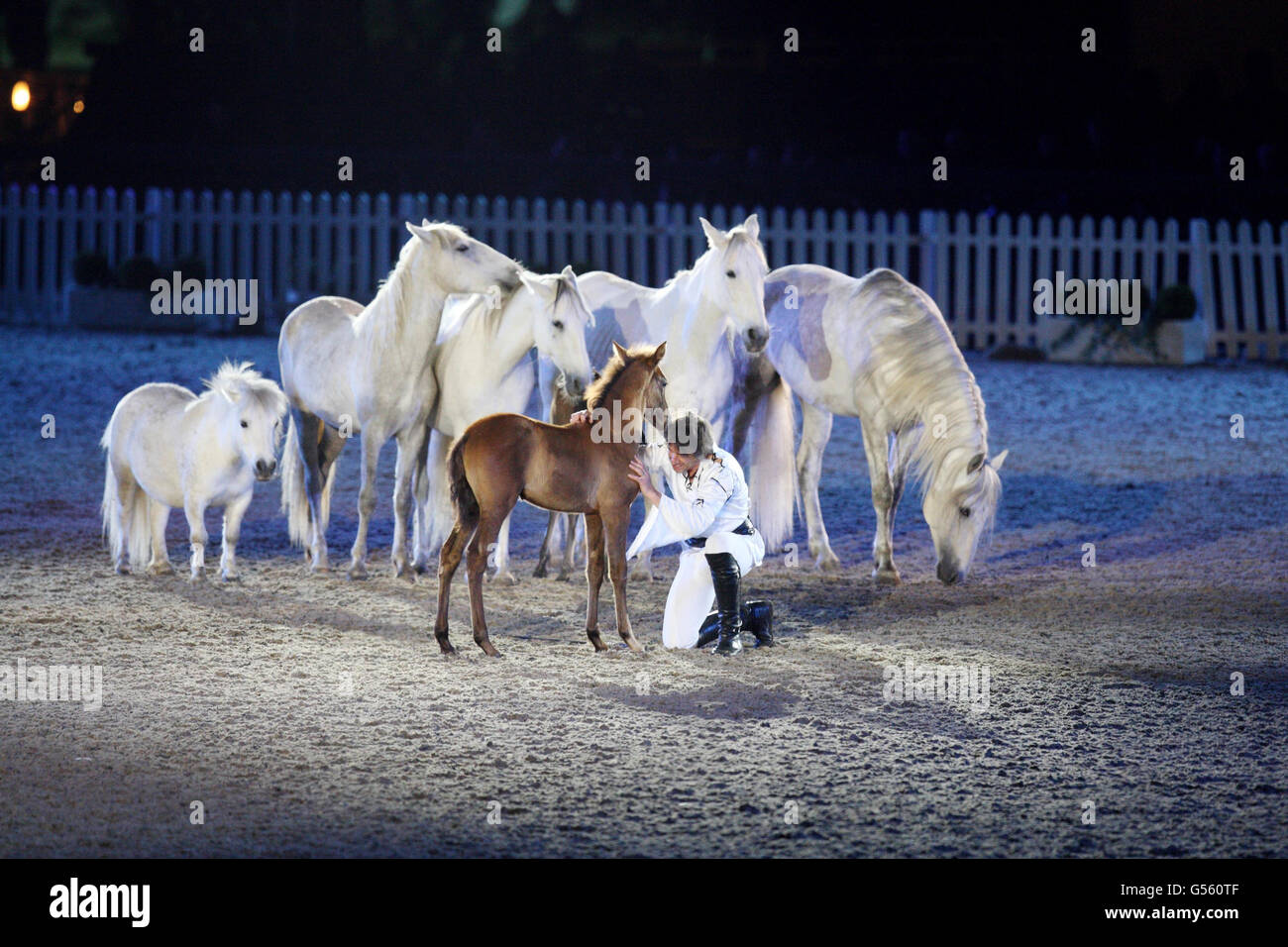 Jean francois pignon hi-res stock photography and images - Alamy