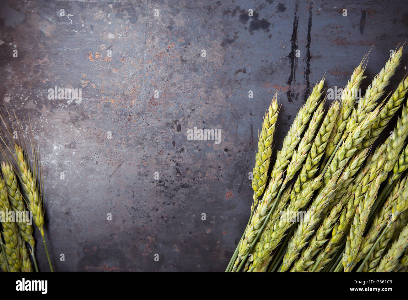 Green wheat ears on dark rusty background Stock Photo - Alamy