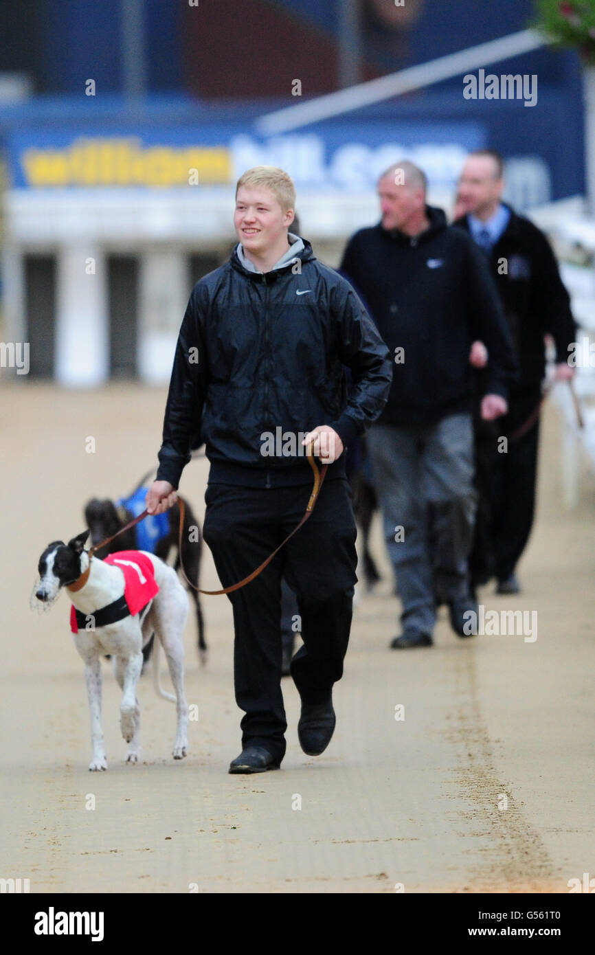 Dogs Are Paraded Race At Wimbledon Stadium Greyhound Track High ...