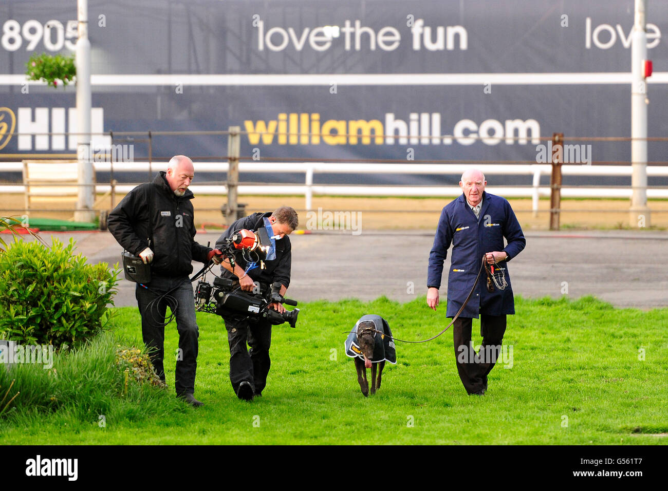 A winning greyhound is paraded at Wimbledon Stadium greyhound track ...