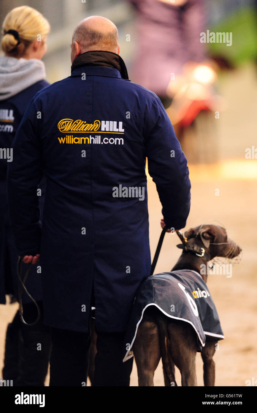 Dogs are paraded race at wimbledon stadium greyhound track hi-res stock ...