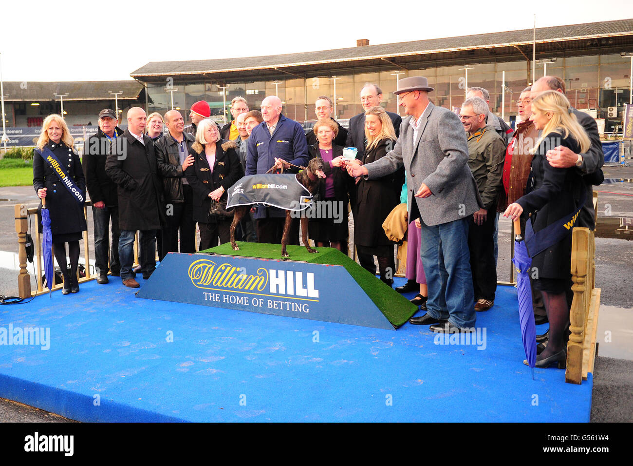 A winning greyhound on the winner's podium at Wimbledon Stadium ...