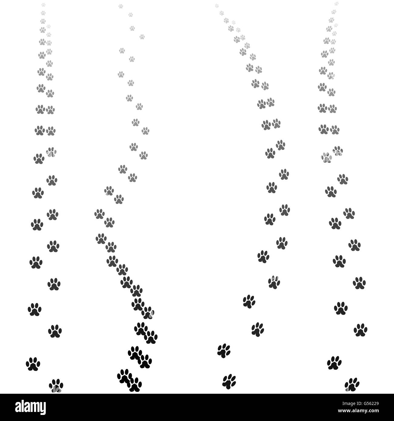 Feline paw prints Cut Out Stock Images & Pictures - Alamy