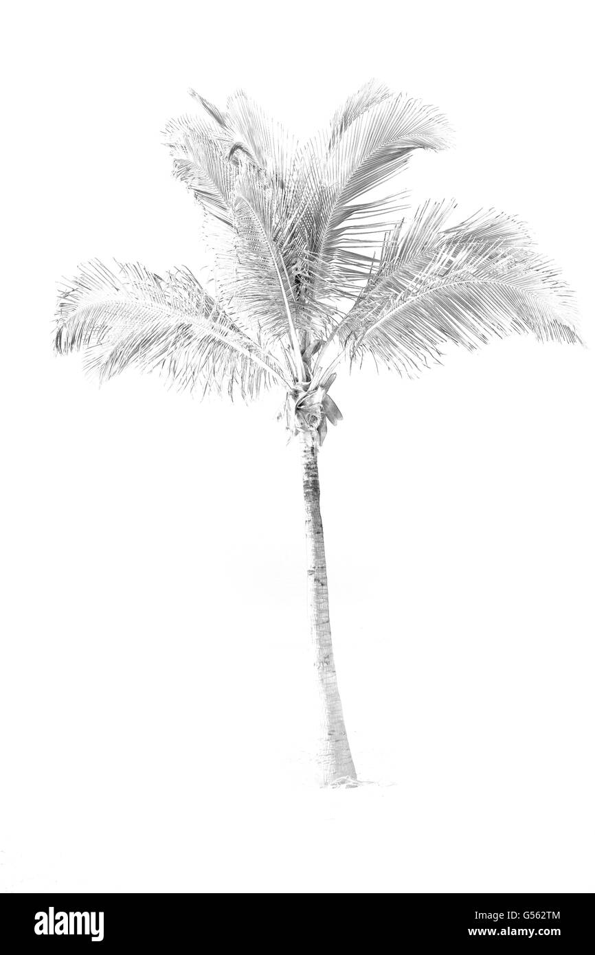 Rock beach in summer Cut Out Stock Images & Pictures - Alamy