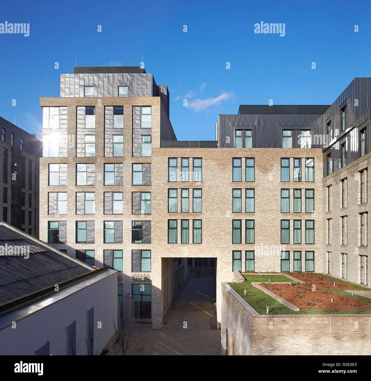 Elevated view of facade and sedum roof. Spring Mews, London, United ...