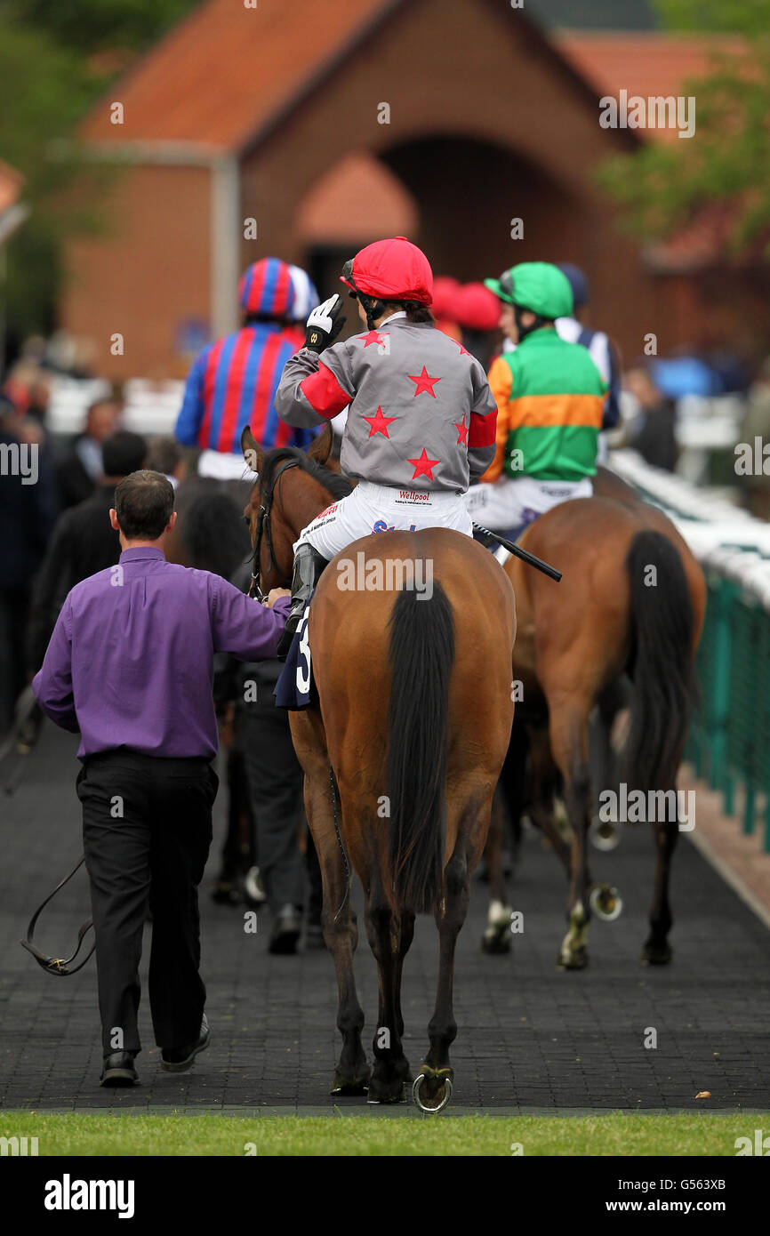 Horse racing spring race evening newmarket racecourse hi-res stock ...