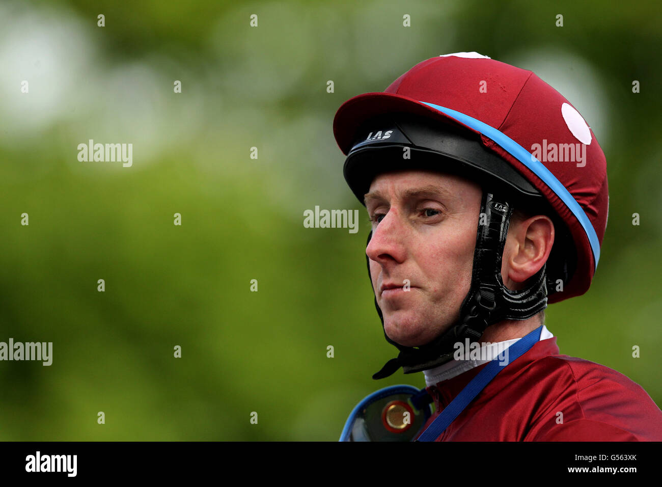 Horse racing spring race evening newmarket racecourse hi-res stock ...