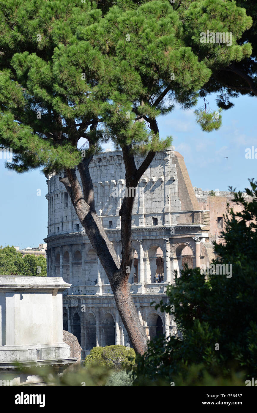 View through trees of colosseum Stock Photo - Alamy